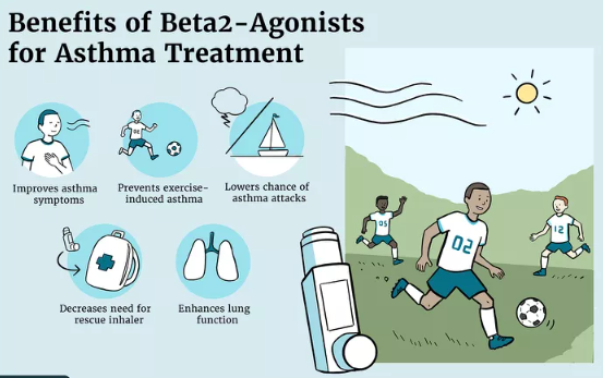 Understanding Beta-Agonists: Types, Uses, And Benefits - Medical Device ...