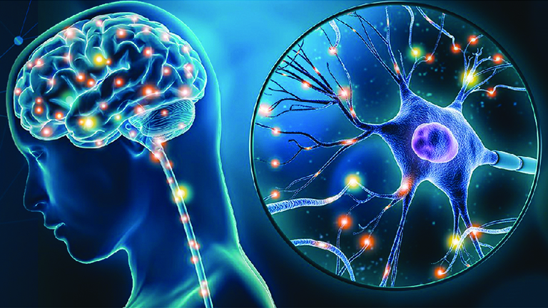 Neuromodulation - Medical Device Registry